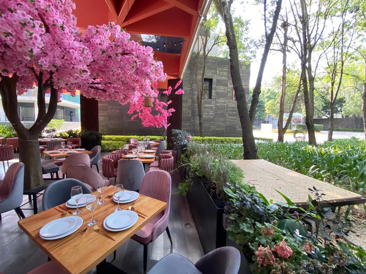 Pink Restaurante Coyoacán – Sabor auténtico en cada bocado